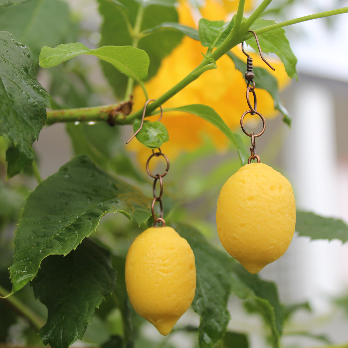 Lemon Drop – Fruit by Kellie and Penelope